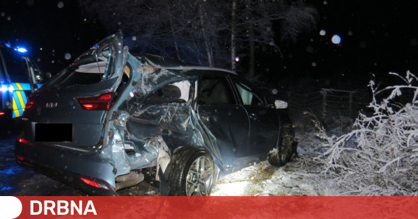 Mladý řidič nezvládl zatáčku a dostal smyk. Autem narazil do stromu