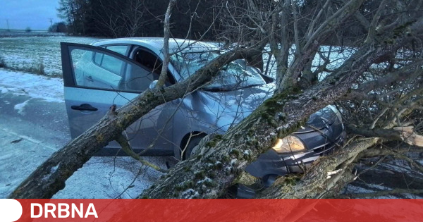 FOTO: Hasiče na Vysočině zaměstnal silný vítr. Jeden z řidičů narazil ...
